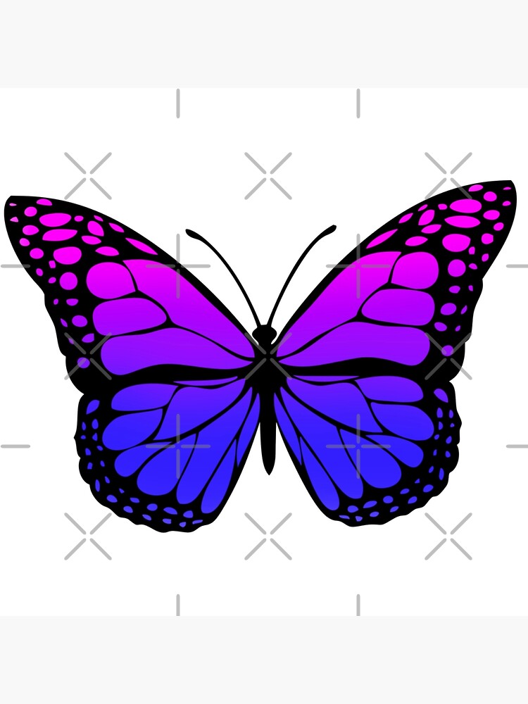 "Bi Pride Butterfly" Poster by enchantededits | Redbubble