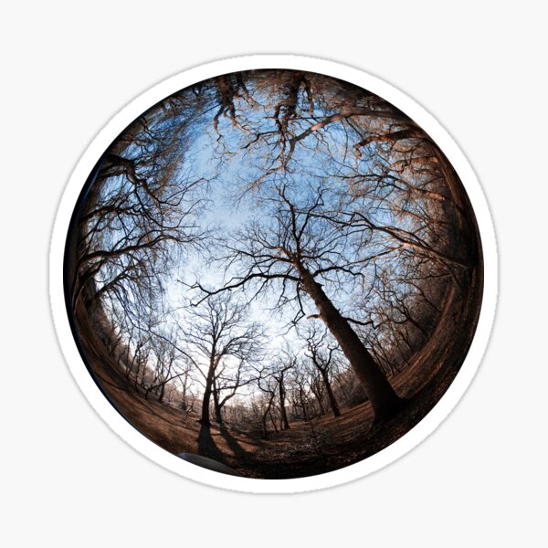 "Forest-moon" Sticker for Sale by MhamadCreations | Redbubble