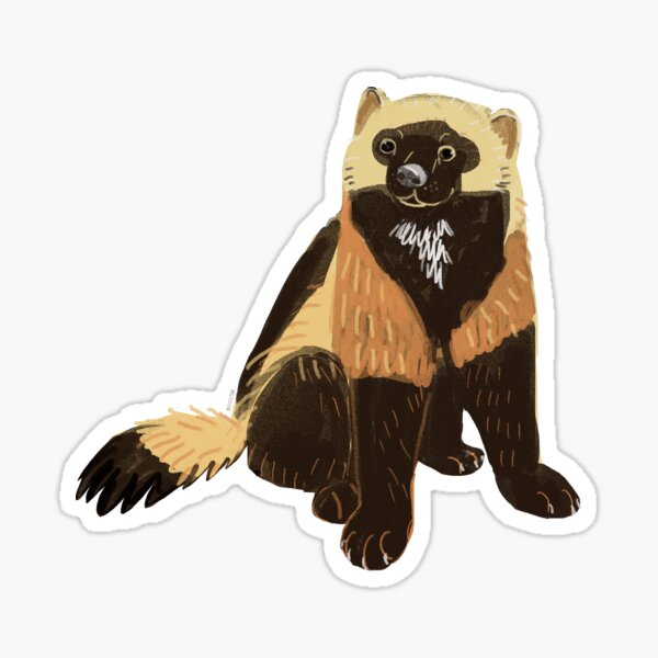 "Gulo Gulo Northern Lights" Sticker by belettelepink | Redbubble