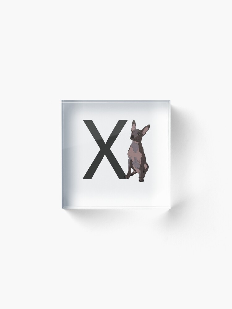 "X is for Xoloitzcuintli Dog (Xolo)" Acrylic Block by sketchandpaws ...