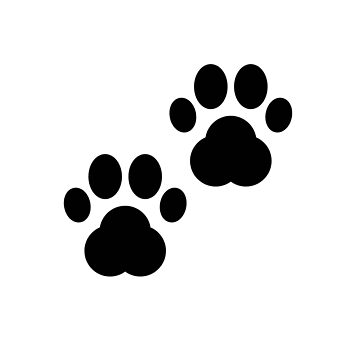 "Panda footprints" Poster by Leader Designer | Redbubble