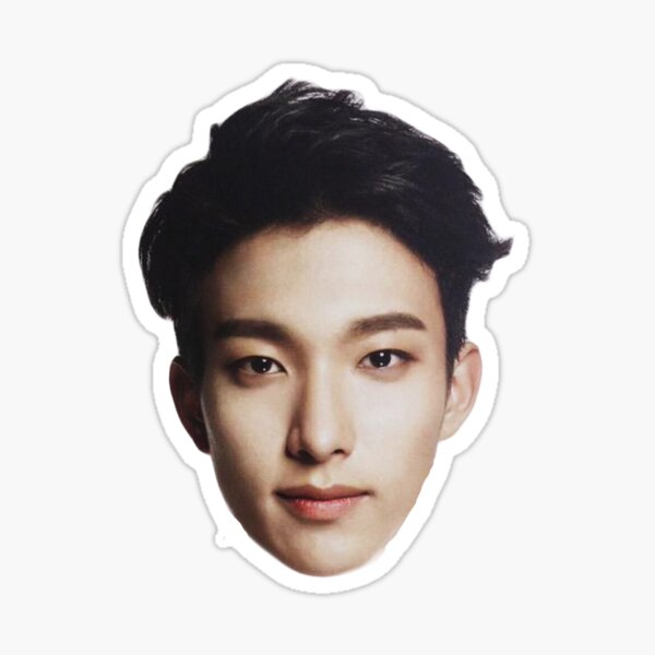 "DK Head" Sticker for Sale by vargasaneliz | Redbubble
