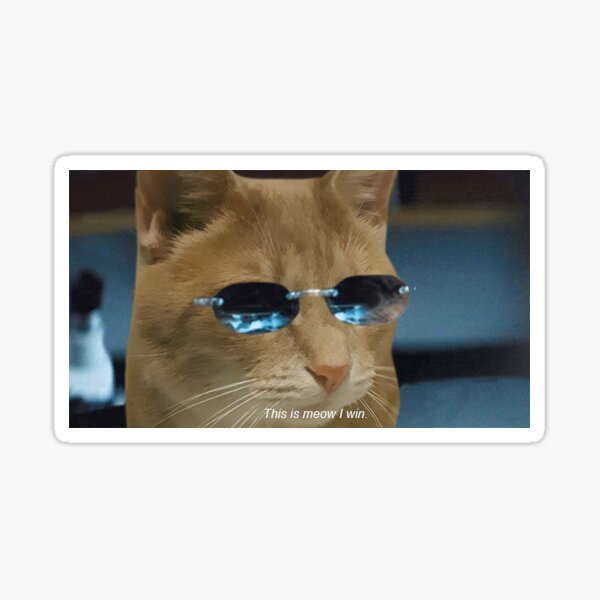 "Uncut Gems This is How I win cat" Sticker by annieannieann1e | Redbubble