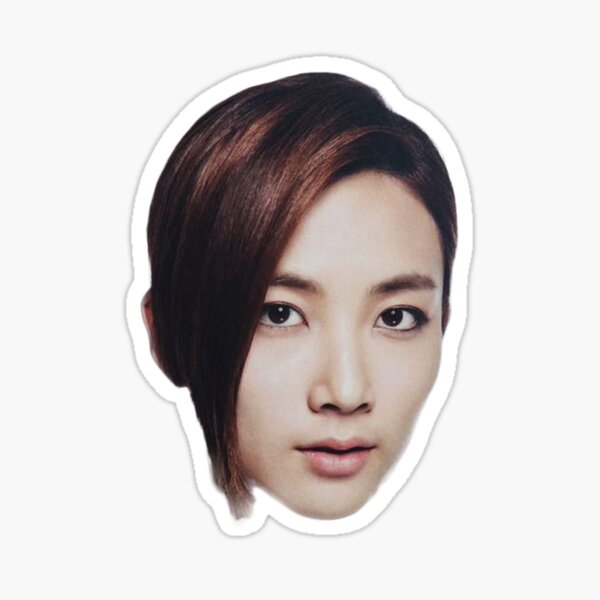 "Jeonghan Head" Sticker for Sale by vargasaneliz | Redbubble