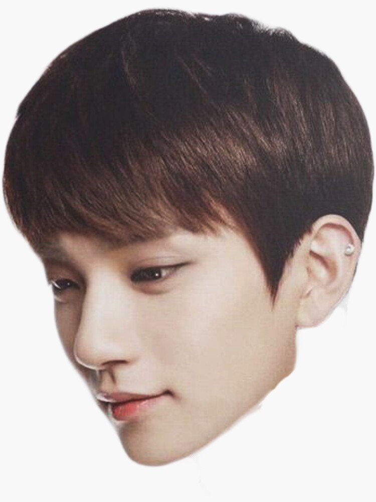 "Joshua Head" Sticker by vargasaneliz | Redbubble