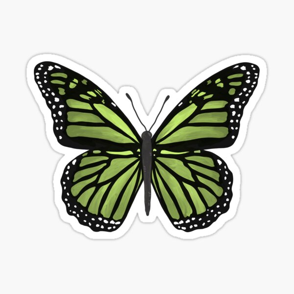 "Green Butterfly" Sticker by stickydesign | Redbubble