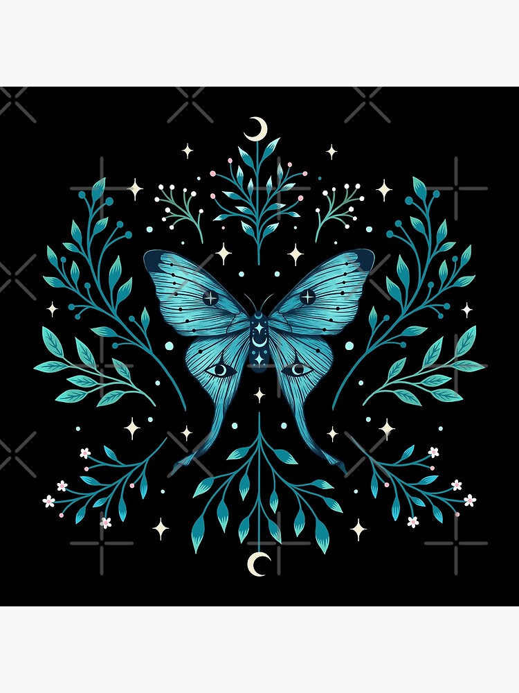 "Mystical Moon Moth - Turquoise " Photographic Print for Sale by ...