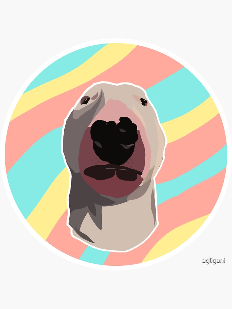 "Walter meme" Sticker by agligani | Redbubble