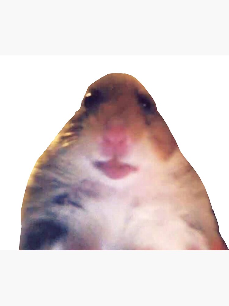 "hamster meme" Poster for Sale by shelbylickliter | Redbubble