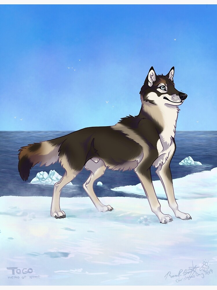 "Togo: Hero of Nome" Poster for Sale by Copperbora | Redbubble