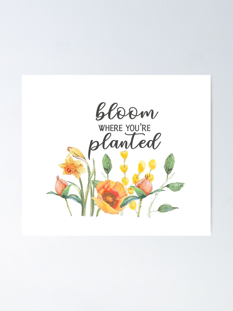 "Bloom where you are planted, MOTIVATIONAL QUOTE" Poster by ...