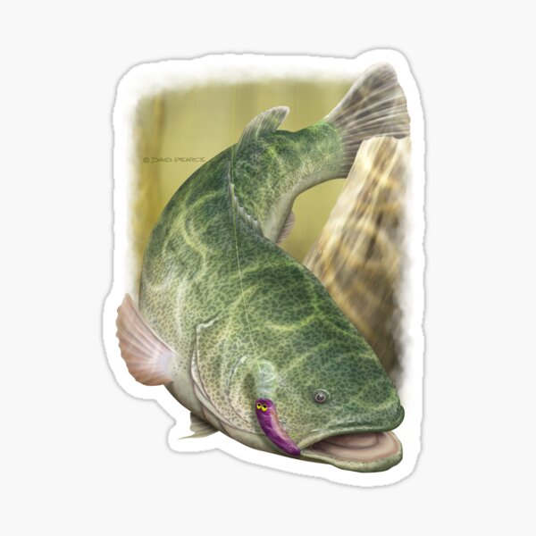 "Murray Magic" Sticker for Sale by barradingo | Redbubble