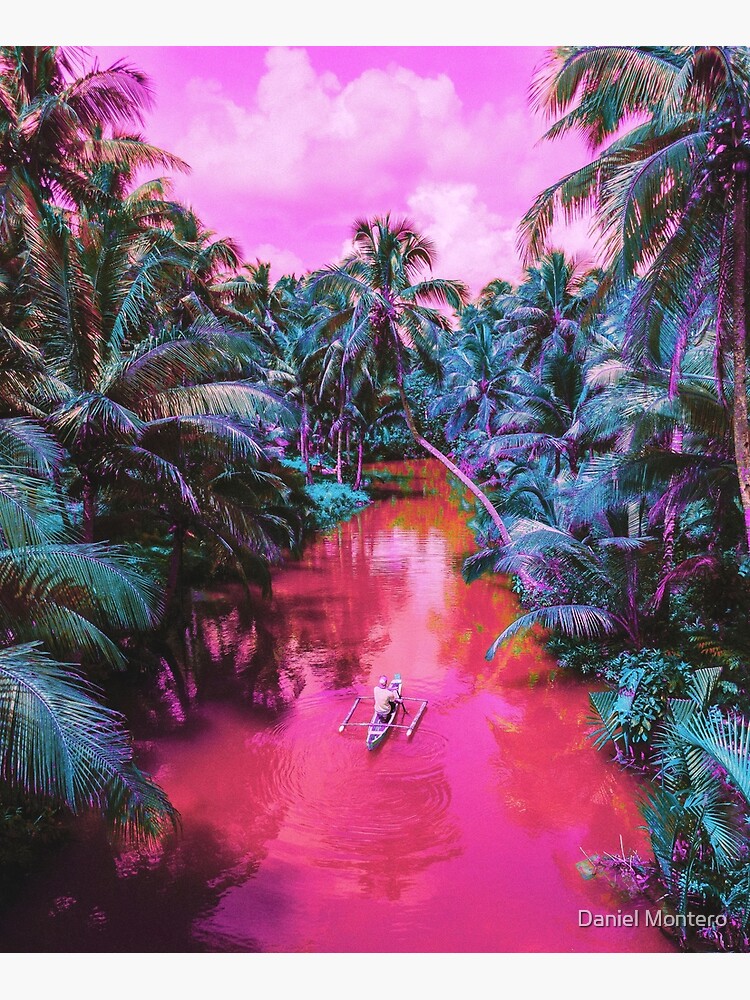 "Coco River" Poster by danielmontero | Redbubble