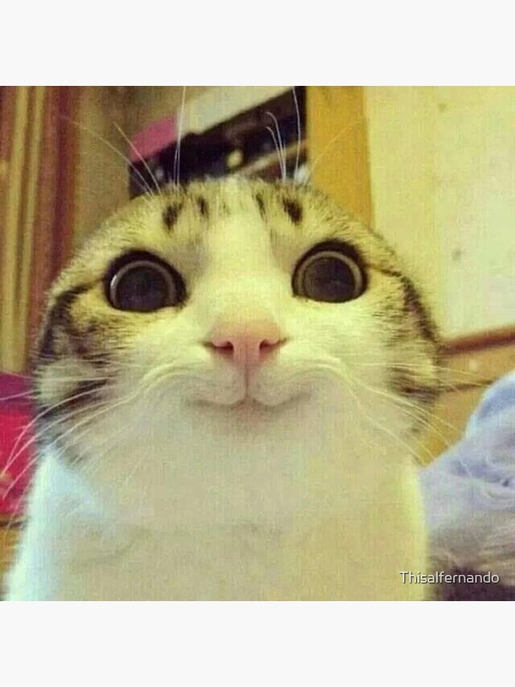 "A very good cat" Poster by Thisalfernando | Redbubble