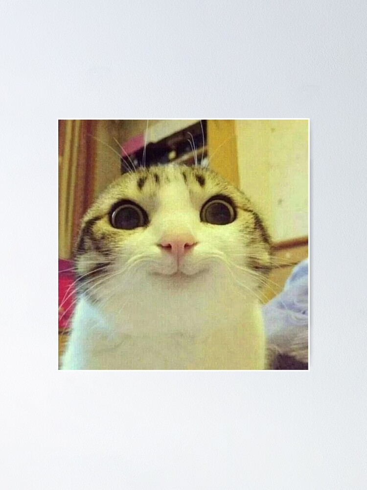 "A very good cat" Poster for Sale by Thisalfernando | Redbubble