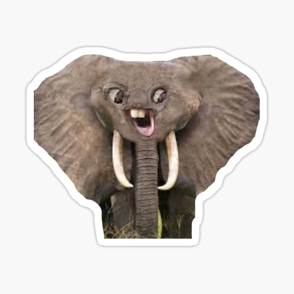 "elephant funny face" Sticker for Sale by danibr0wn | Redbubble