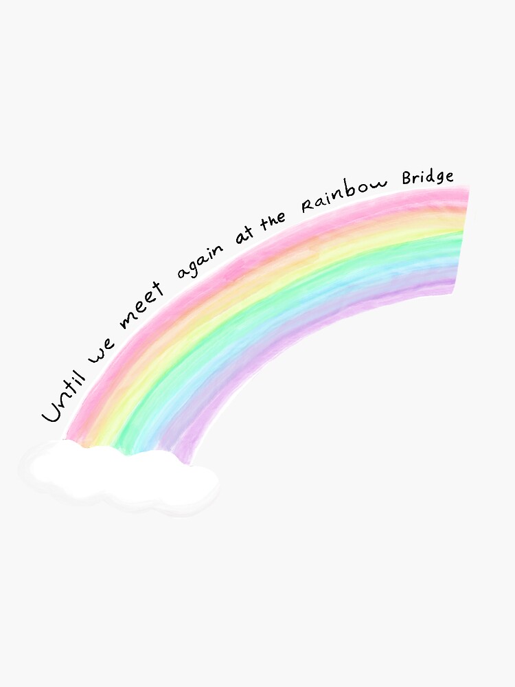 "Until we meet again at the Rainbow Bridge-Rainbow cartoon" Sticker for ...