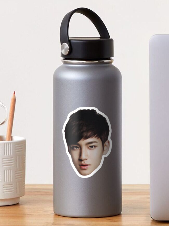 "Mingyu Head" Sticker for Sale by vargasaneliz | Redbubble