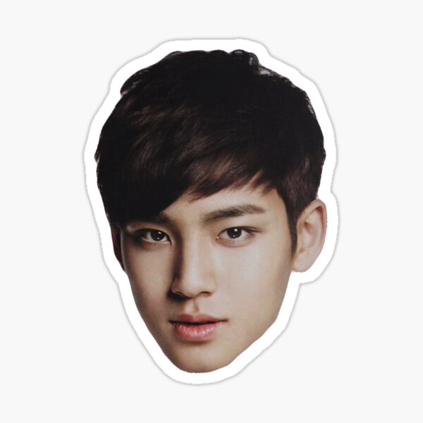 "Mingyu Head" Sticker for Sale by vargasaneliz | Redbubble