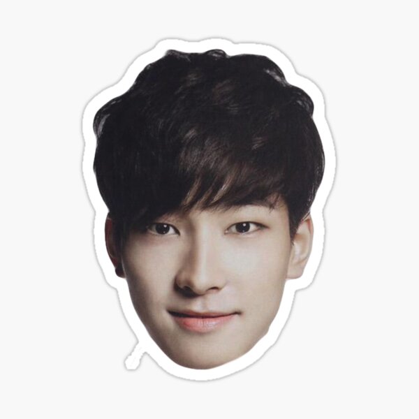 "Wonwoo Head" Sticker for Sale by vargasaneliz | Redbubble