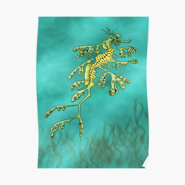 "Leafy Sea Dragon" Poster by MagicMama | Redbubble