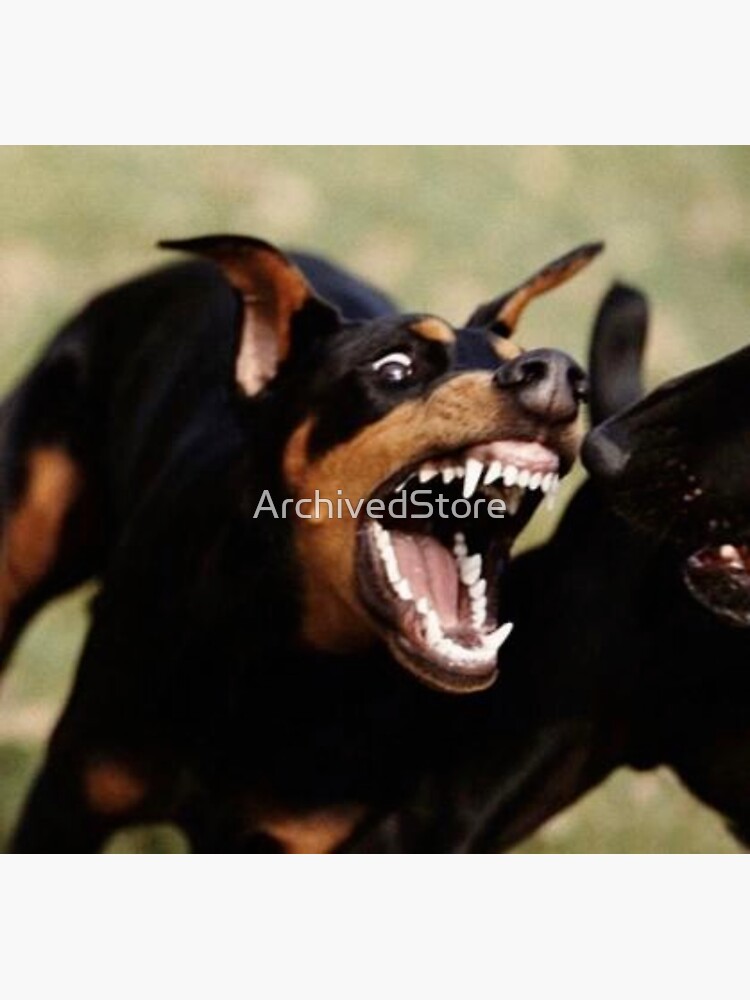 "Without Warning" Sticker for Sale by ArchivedStore | Redbubble