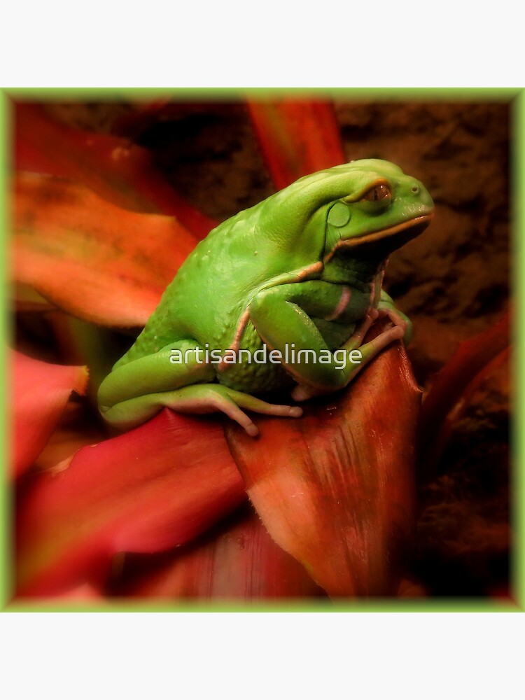 "Frog Story ~ Part One" Poster for Sale by artisandelimage | Redbubble