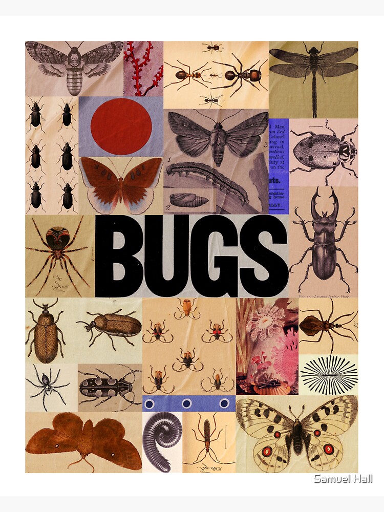 "Bugs Collage" Sticker for Sale by SammySamHall | Redbubble