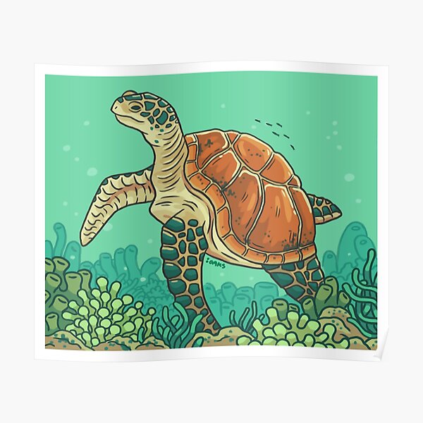 "Green Coral Sea Turtle" Poster for Sale by Miki8335 | Redbubble