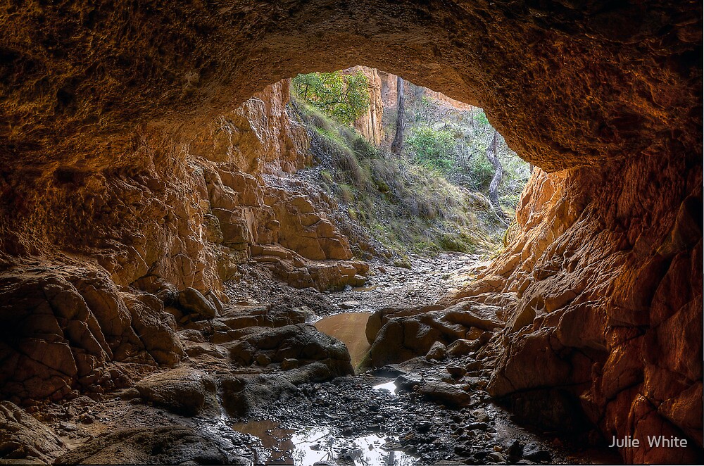 "Golden Gully." by Julie White | Redbubble