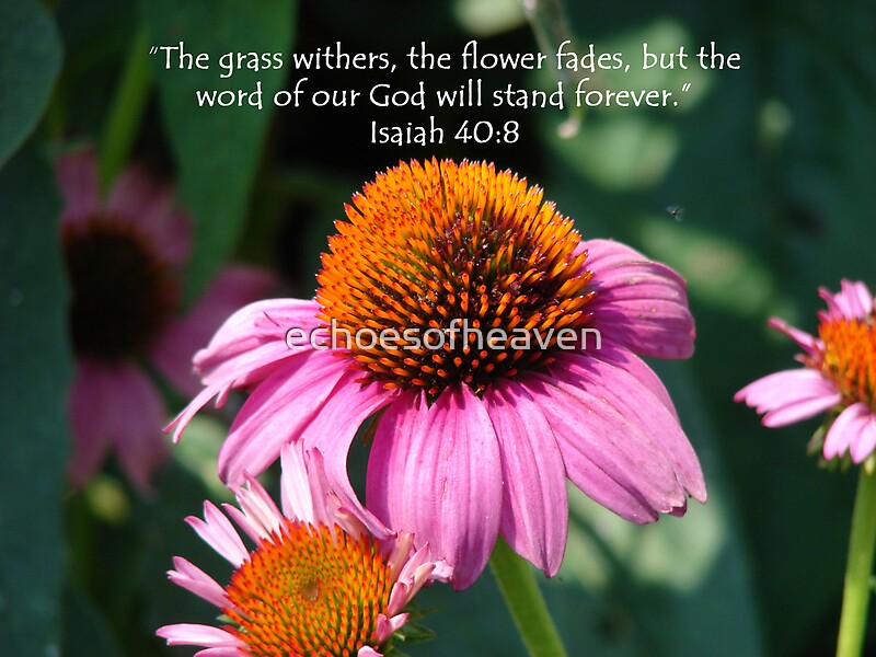 ""Isaiah 40:8" by Carter L. Shepard" by echoesofheaven | Redbubble