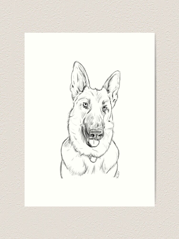 "Kate Munns German Shepherd Drawing" Art Print by Katemunns | Redbubble