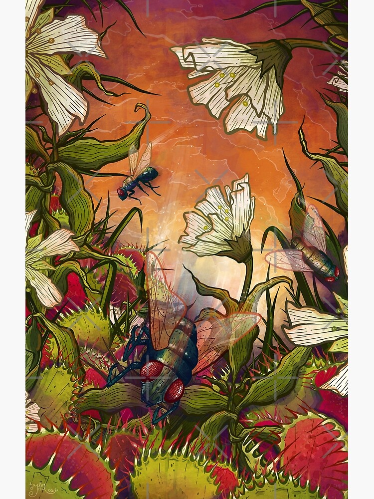 Poster « Venus Fly Trap Landscape », par TaylorRoseArt | Redbubble