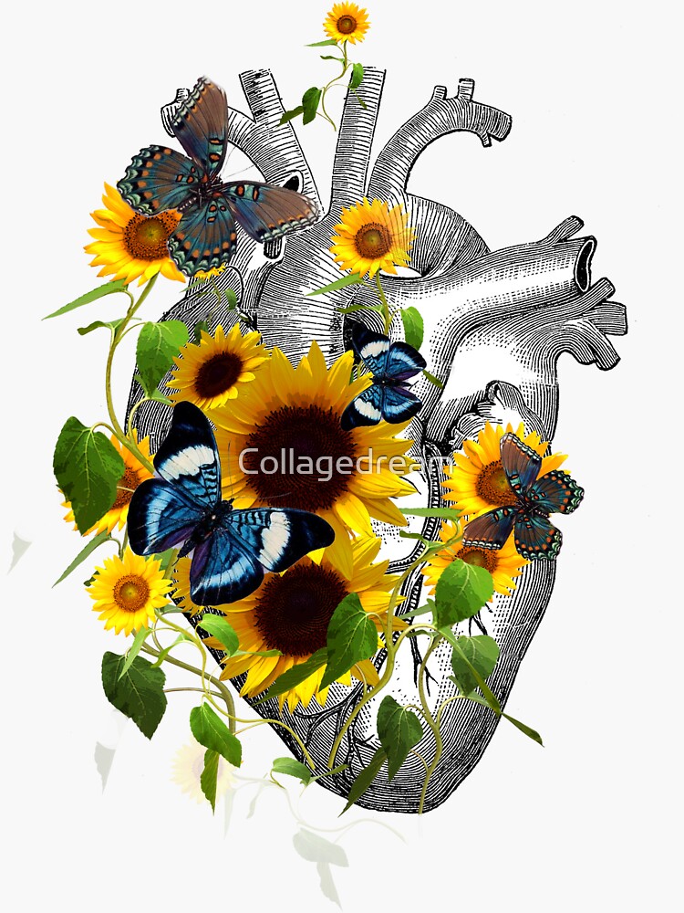 "Butterflies sunflowers Heart Human Anatomy" Sticker for Sale by ...