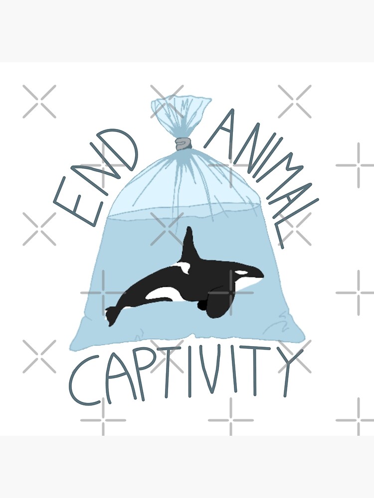 "End Animal Captivity (orca)" Poster for Sale by gabyestabrooks | Redbubble