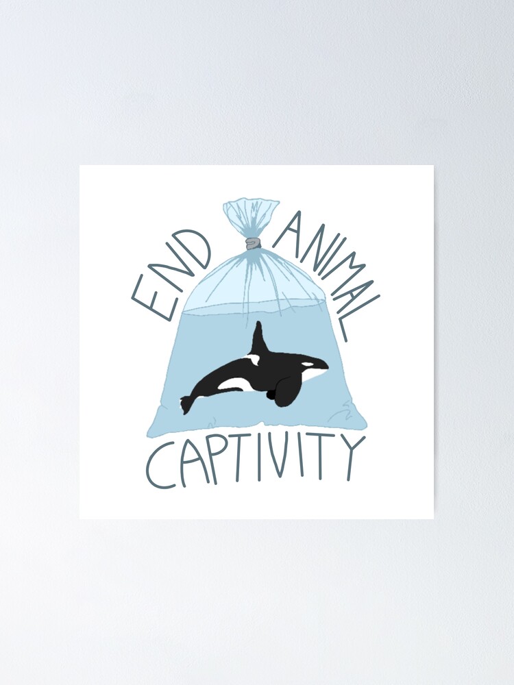 "End Animal Captivity (orca)" Poster for Sale by gabyestabrooks | Redbubble