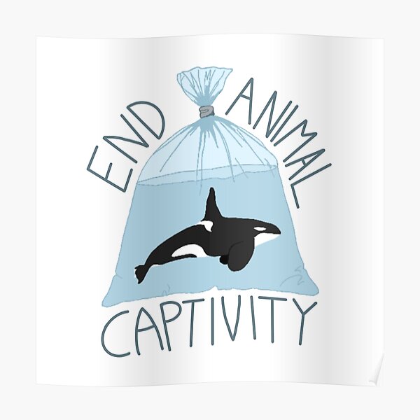 "End Animal Captivity (orca)" Poster for Sale by gabyestabrooks | Redbubble