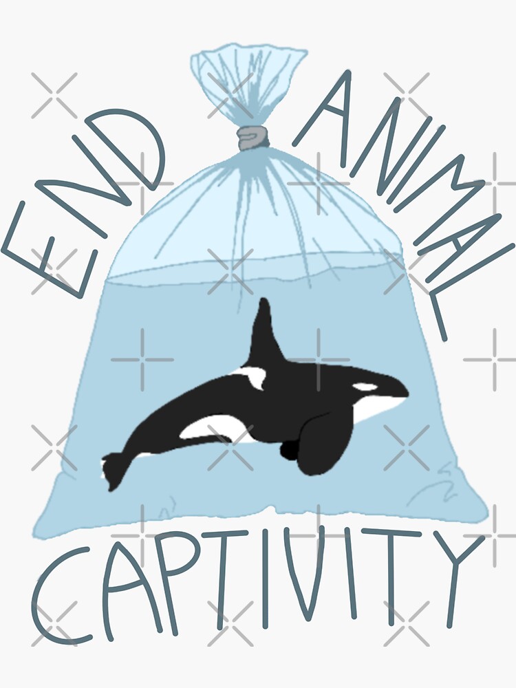 "End Animal Captivity (orca)" Sticker for Sale by gabyestabrooks ...