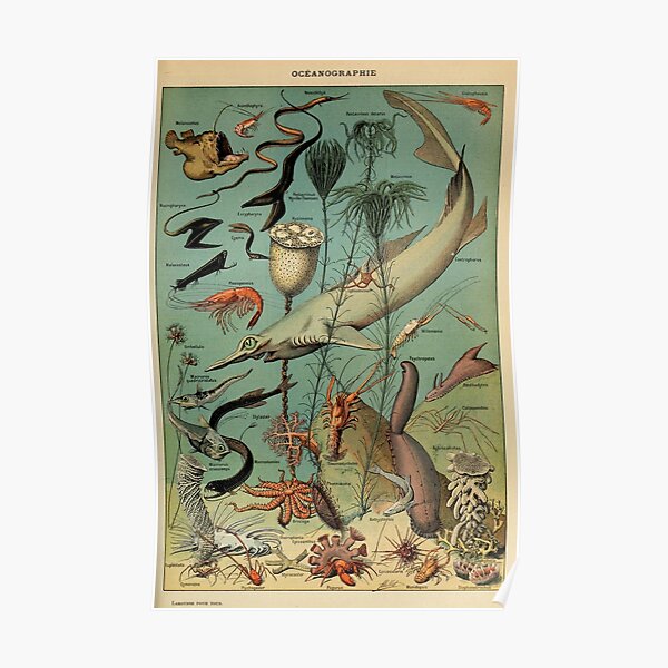 "Vintage Oceanography Poster" Poster for Sale by lmmanning | Redbubble