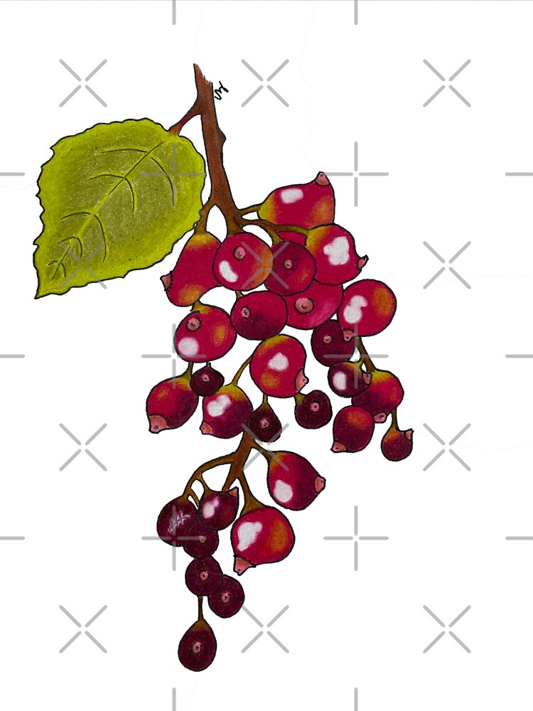 "Grape Froobs" Sticker by VikaVupla | Redbubble