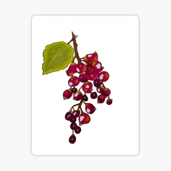 "Grape Froobs" Sticker by VikaVupla | Redbubble