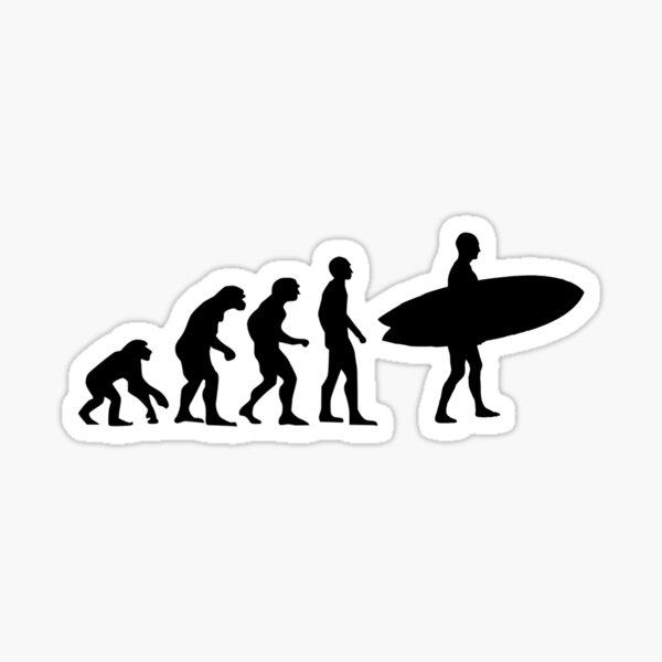 "Surf evolution" Sticker for Sale by Davesconnect | Redbubble