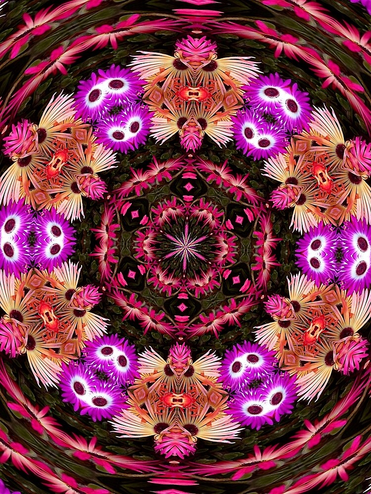 "Two main types of beings" Poster for Sale by MarilynBaldey7 | Redbubble