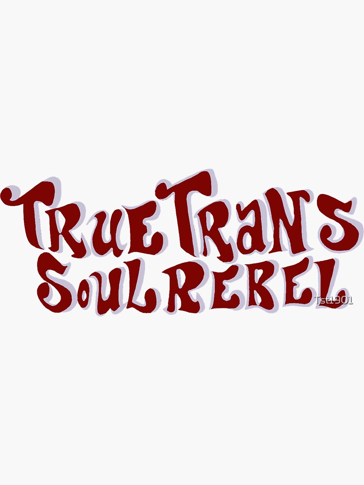"Against Me! True Trans Soul Rebel typography" Sticker for Sale by ...