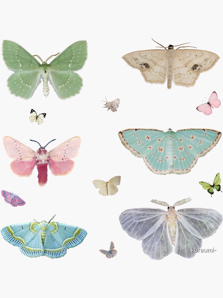 "Pastel Moths and Mini Butterflies" Sticker for Sale by kureumi ...