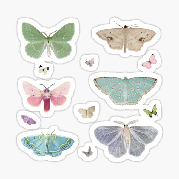 "Pastel Moths and Mini Butterflies" Sticker for Sale by kureumi ...