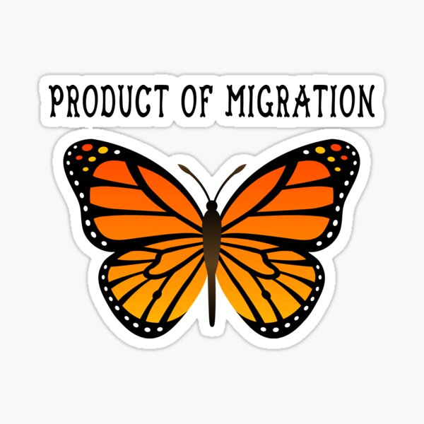 "Product of Migration, Product of Migration Shirt, Latino Pride,Spanish ...