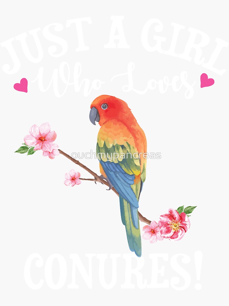 "Conure Bird" Sticker for Sale by ouchmypancreas | Redbubble