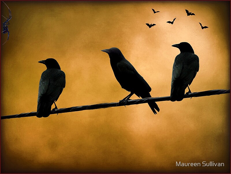 "Crows on a Wire" by Maureen Sullivan | Redbubble