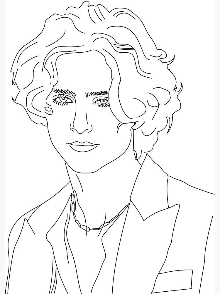 "timothée chalamet" Poster for Sale by el1sek61v | Redbubble